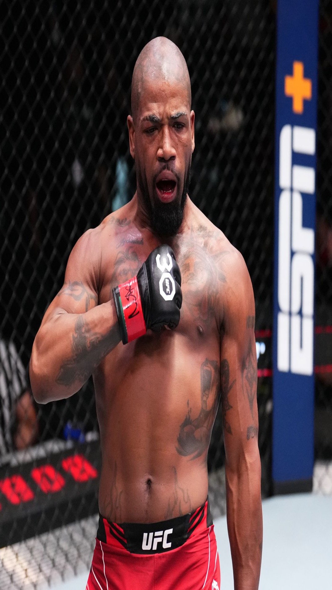 Who is Tabitha Swann? The wife of UFC lightweight contender Bobby Green