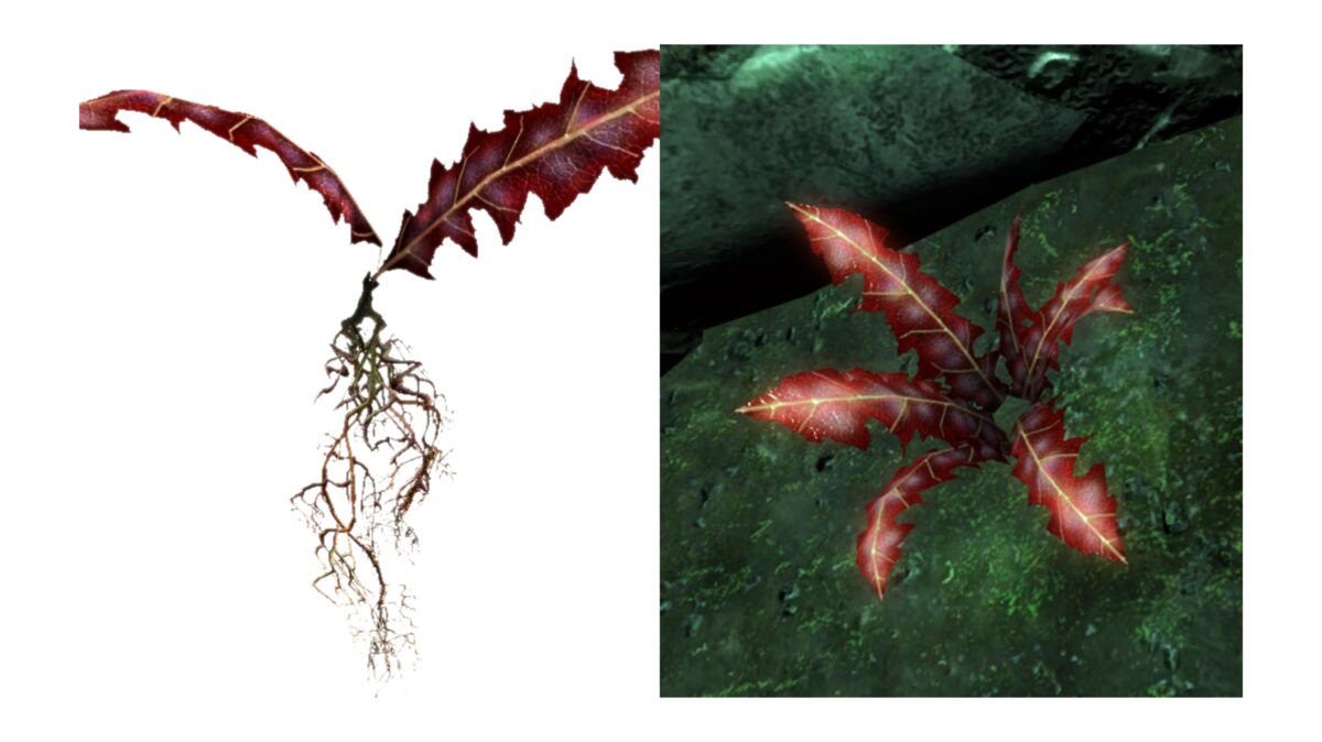 All Crimson Nirnroot Locations in Elder Scrolls V: Skyrim - Media Referee