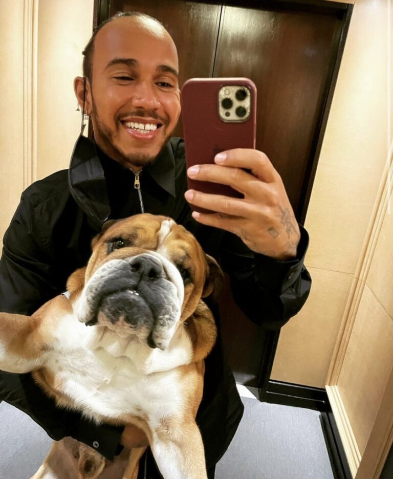 How many dogs does Lewis Hamilton have?