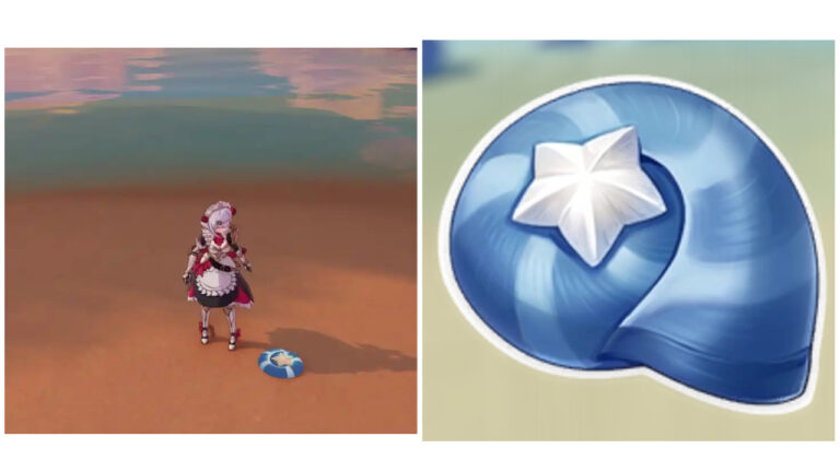 Genshin Impact Starconch Locations - Farming Guide - Media Referee