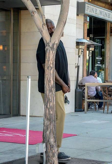 Shaq hiding behind a tree: When Shaquille O’Neal opened up about this meme