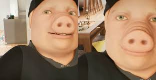 What is John Pork is calling? Meme takes TikTok by storm